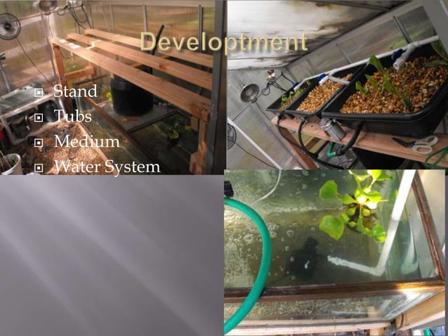 Aquaponics presentation | PPTX