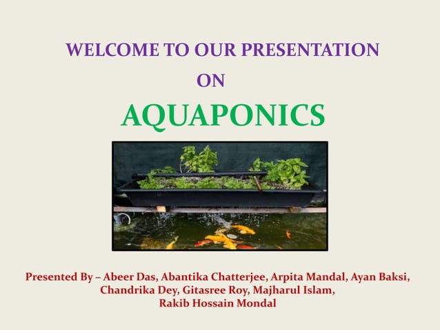 AQUAPONICS PRESENTATION.pptx AQUAPONICS PRESENTATION.pptx