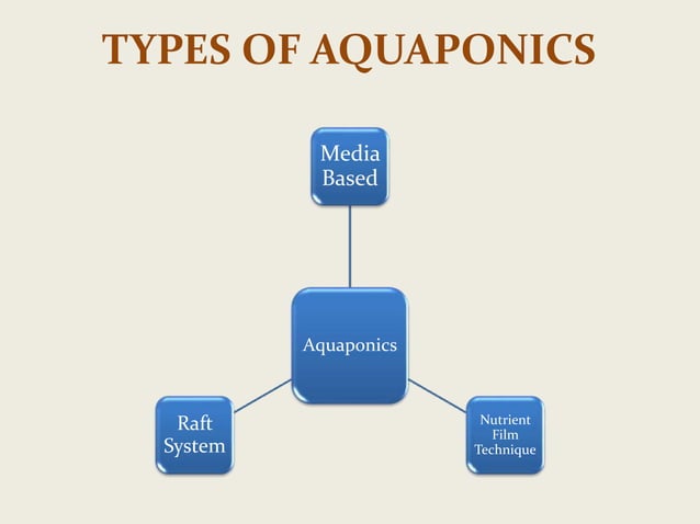 AQUAPONICS PRESENTATION.pptx AQUAPONICS PRESENTATION.pptx