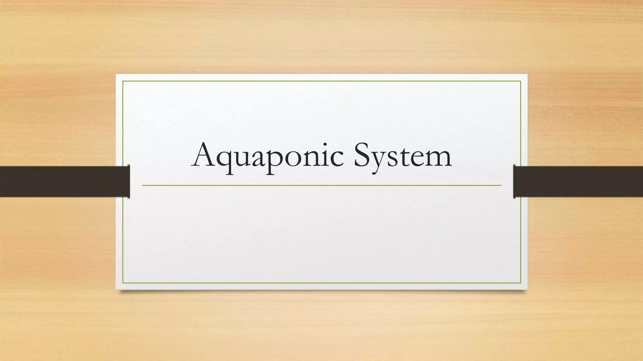 Aquaponic System.pptx