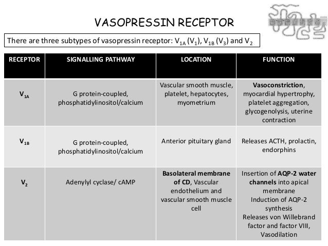 Aquaporin and vaptan