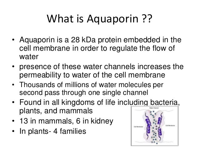Aquaporins