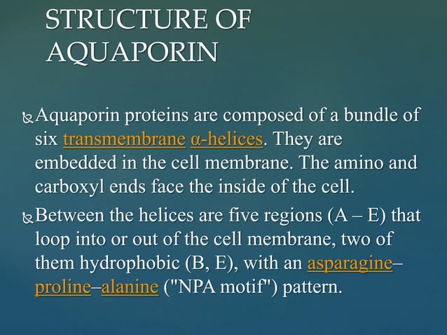 Aquaporins | PPTX | Chemistry | Science