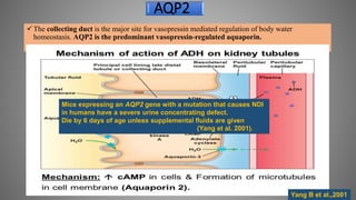 Synopsis of Aquaporins Expression in GIT & Renal system in NDRI | PPTX ...