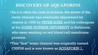 aquaporins seminar.pptx from biochemistry | PPTX