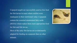 ZOO-PLANKTON CULTURE FOR MARINE FISH HATCHERIES | PPTX