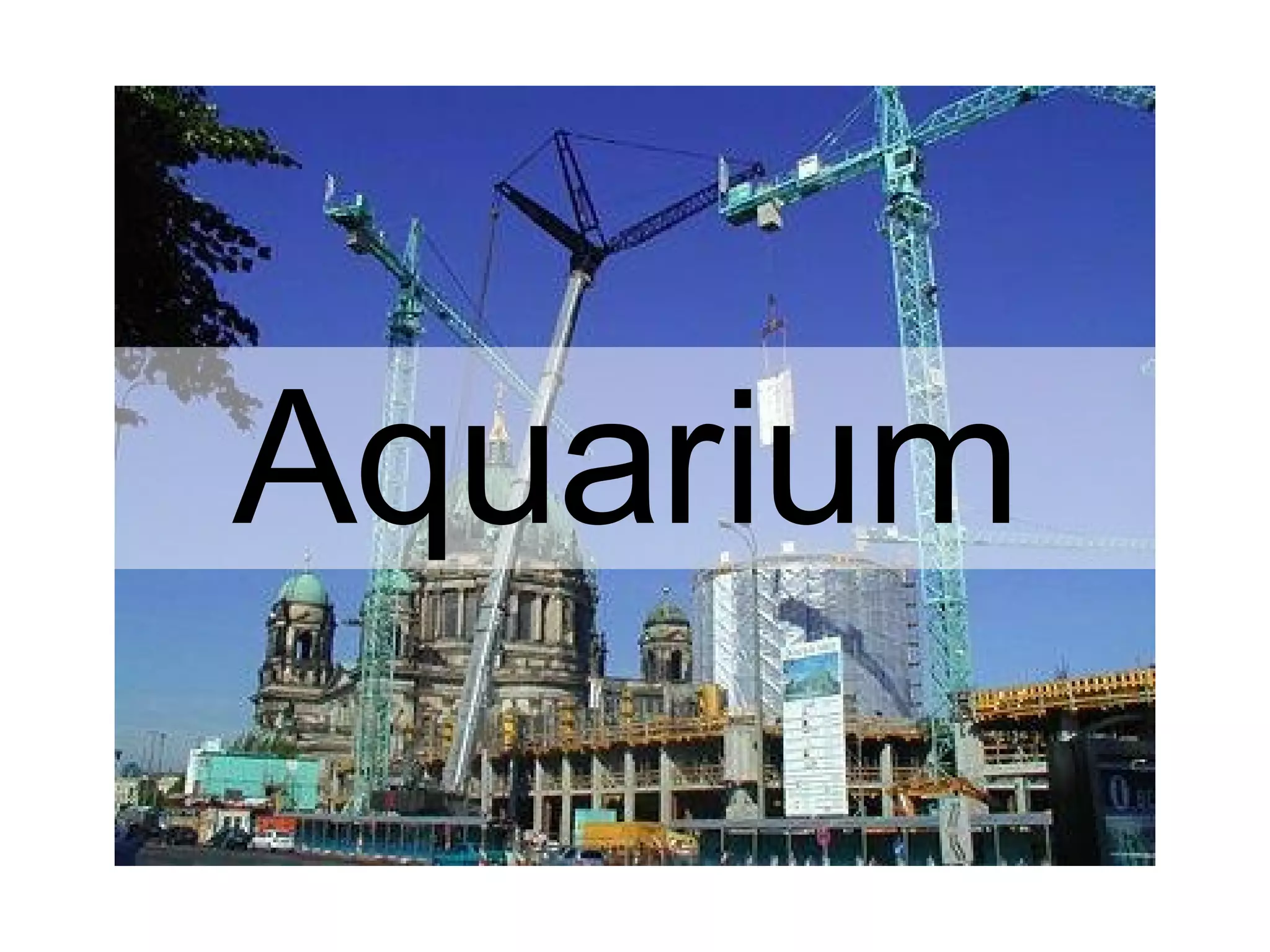 A big aquarium | PPS