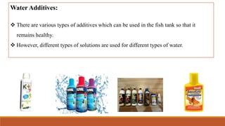 Aquarium Accessories and Decorative.pdf