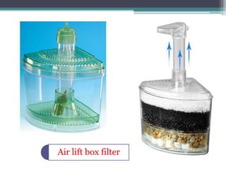 Aquarium acessories, ritesh | PPTX