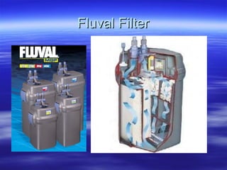 Aquarium filteration notes | PPT