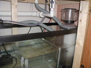 Aquarium filteration notes | PPT