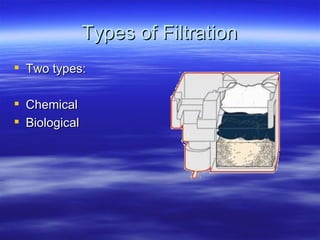 Aquarium filteration notes | PPT