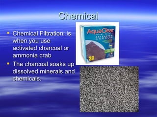 Aquarium filteration notes | PPT