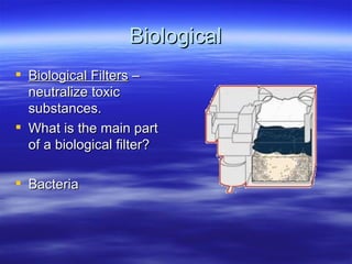 Aquarium filteration notes | PPT