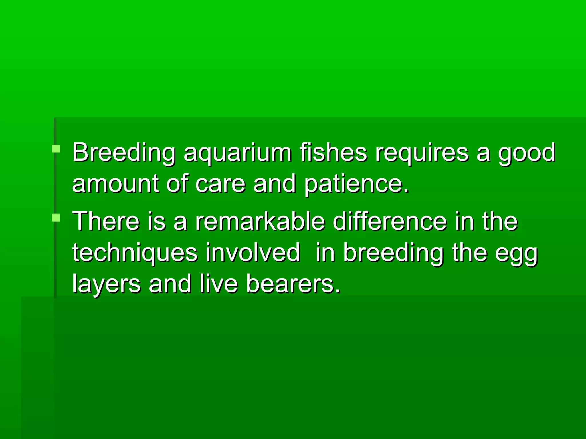 Aquarium fish breeding | PPT
