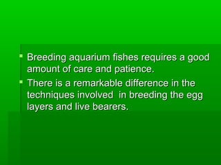 Aquarium fish breeding | PPT