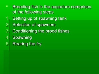 Aquarium fish breeding | PPT