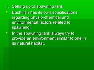 Aquarium fish breeding | PPT