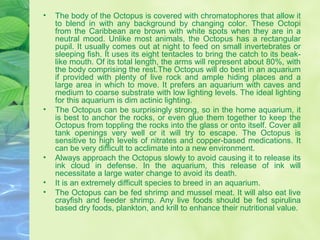 Aquarium fish and Marine aquarium fish and Marine ornamental organisms ...