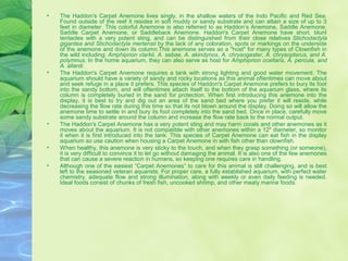 Aquarium fish and Marine aquarium fish and Marine ornamental organisms ...