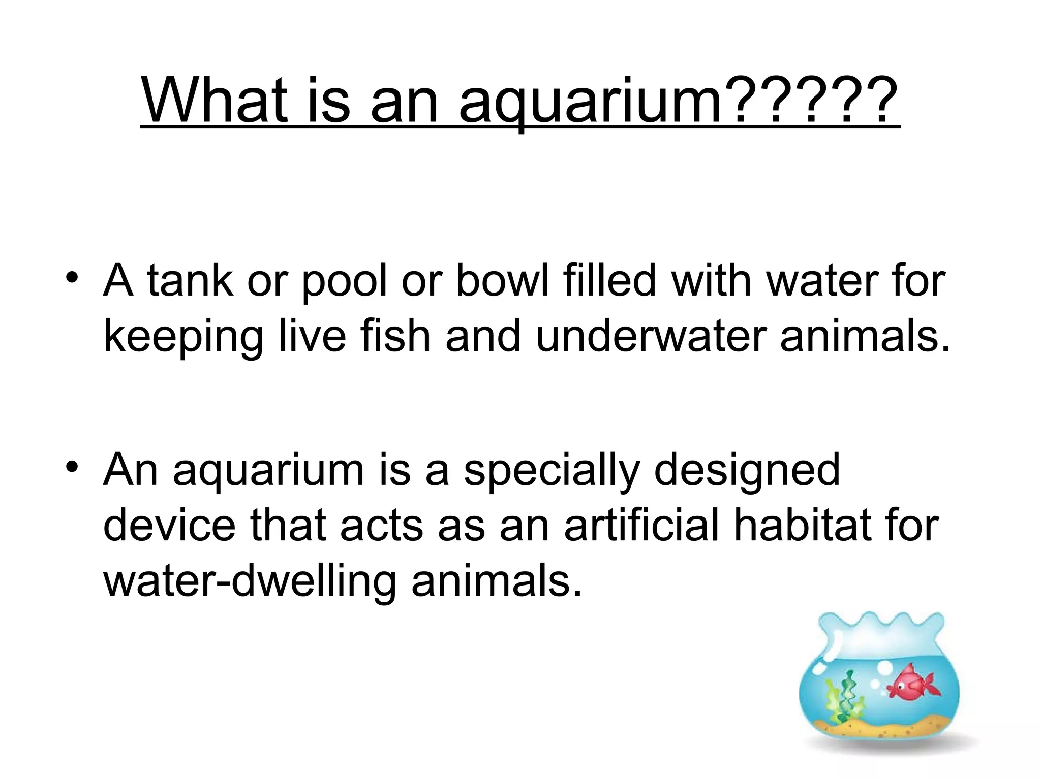 Aquarium fishes ppt | PPT