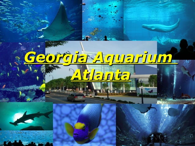 Aquarium fishes ppt | PPT | Zoos & Aquariums | Attractions