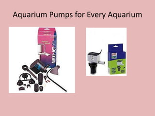 Aquarium pumps | PPT