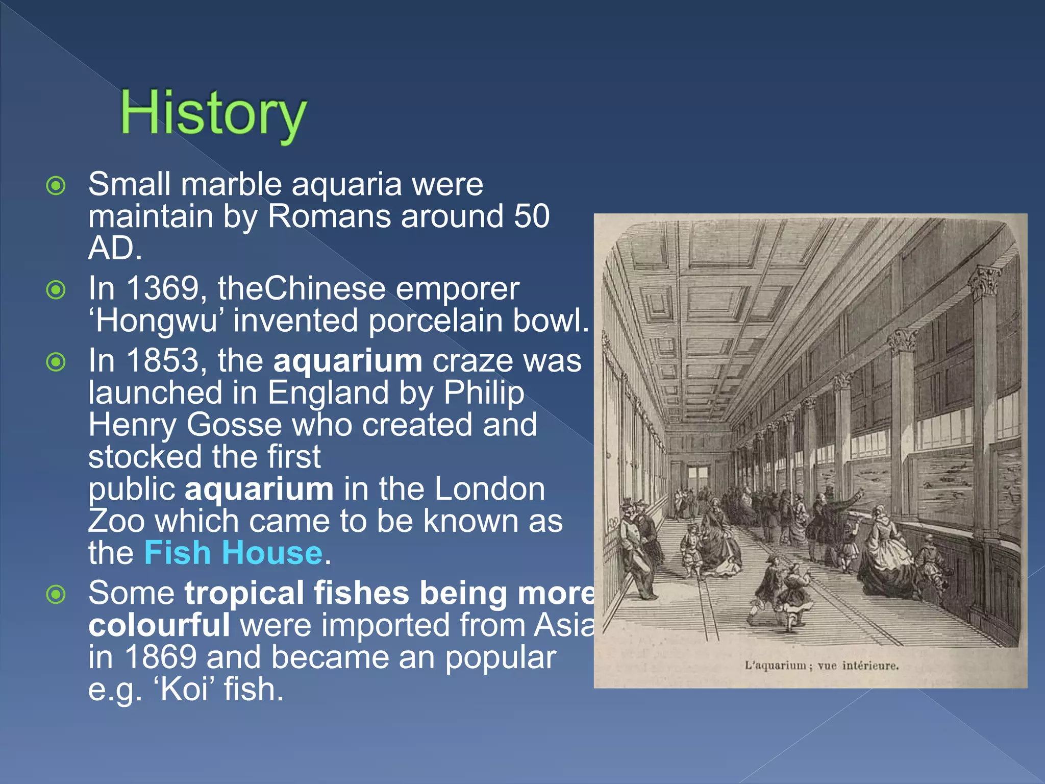 Aquarium setting and ornamental fish | PPTX