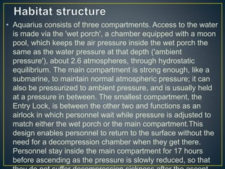 Aquarius Reef BaseAquarius Reef BaseAquarius Reef Base | PPT