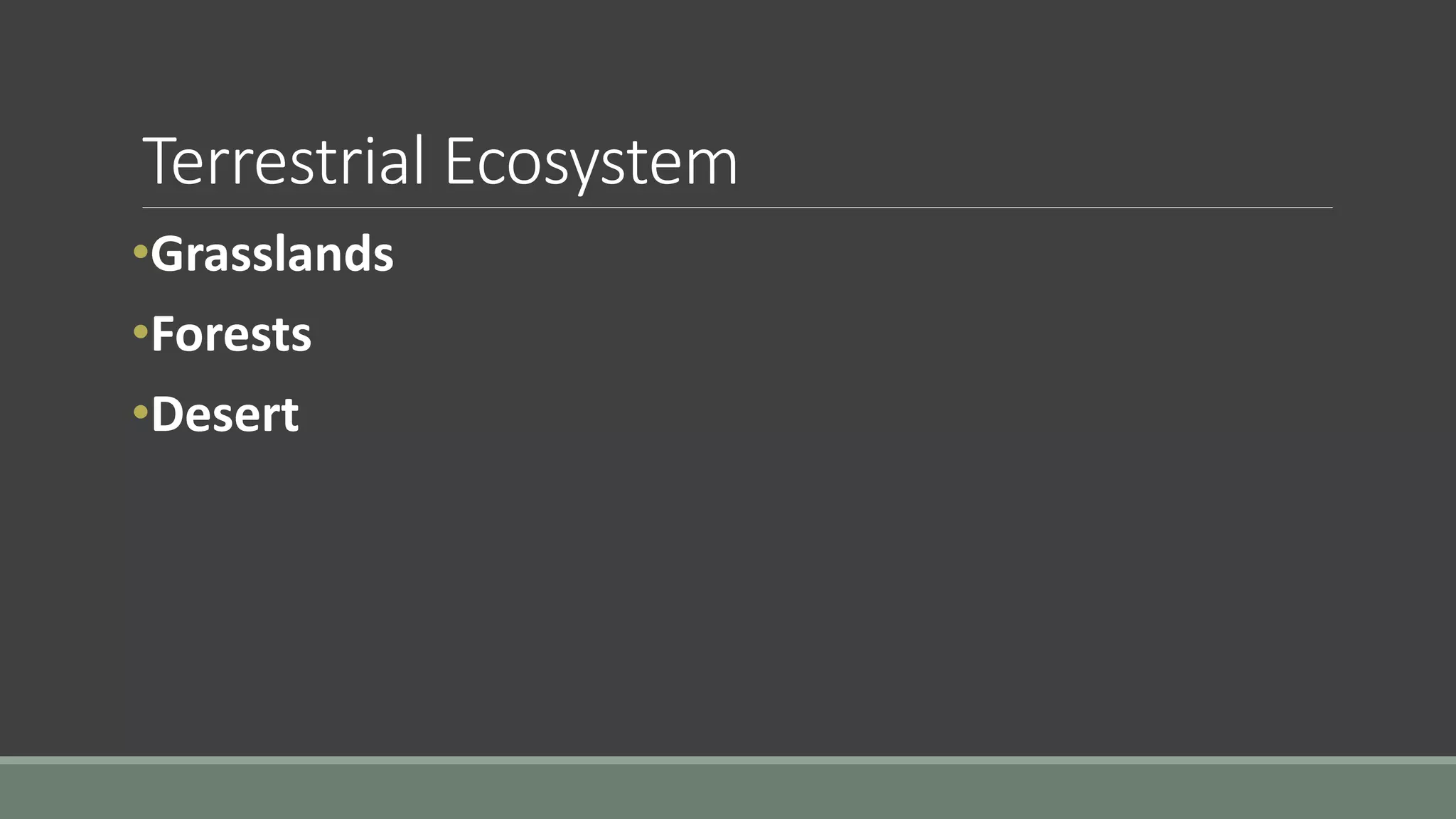 Similarities and Differences between Aquatic and Terrestrial ecosystems ...