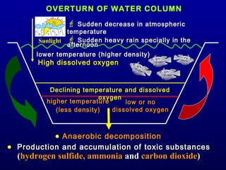 Aqua seminar bicol region, Fishery Arts, hand outs | PPT