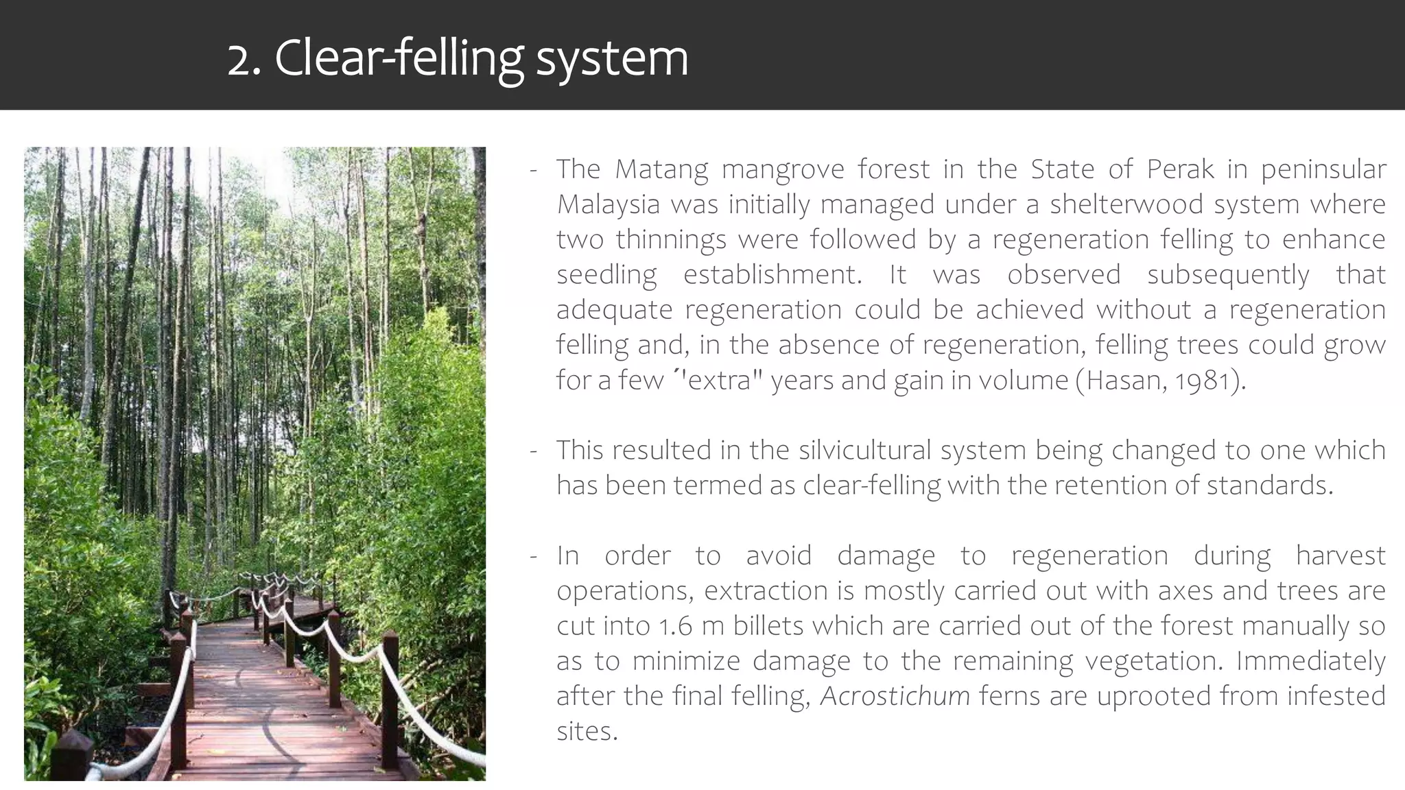 Aquasilviculture report | PDF
