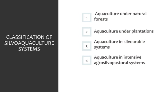 Aquasilviculture report | PDF | Agriculture | Industries