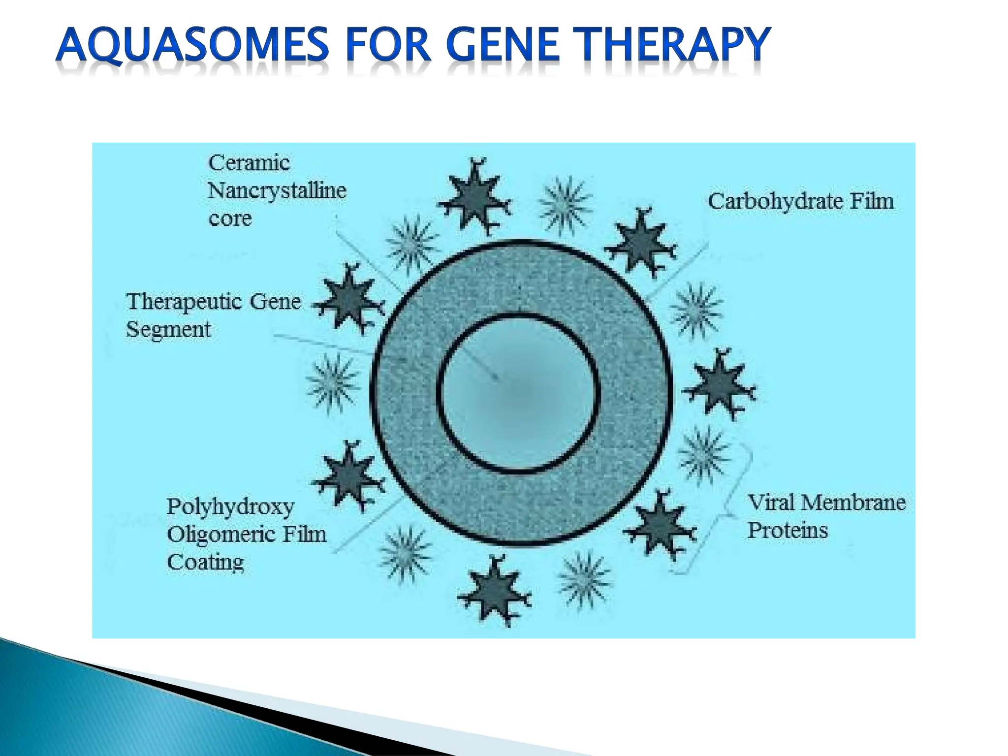 Aquasome AquasomeAquasome aAquasome.pptx