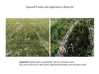 Aquasorb for hydroseeding applications gdot | PPT