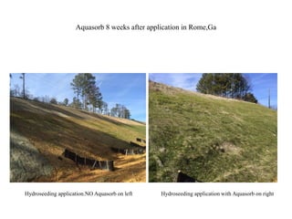 Aquasorb for hydroseeding applications gdot | PPT