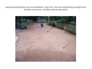 Aquasorb for hydroseeding applications gdot | PPT