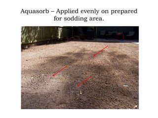 Aquasorb for hydroseeding applications gdot | PPT