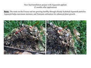 Aquasorb for hydroseeding applications gdot | PPT