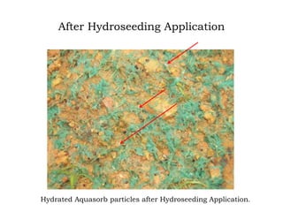 Aquasorb for hydroseeding applications gdot | PPT