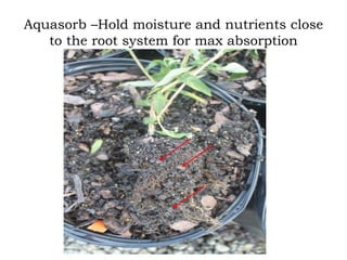 Aquasorb pictures | PPT
