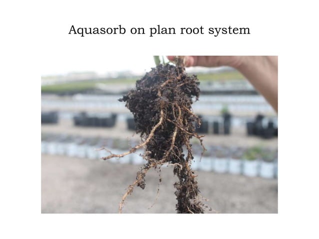 Aquasorb pictures | PPT | Free Download