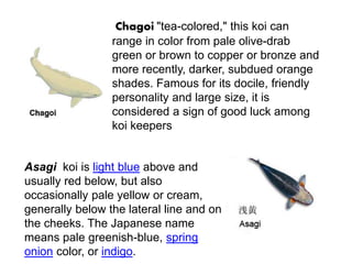 Major Varieties of Koi Fish | PPT