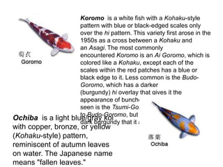 Major Varieties of Koi Fish | PPT