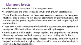 The Aquatic Ecosystem of our Earth Planet | PPTX