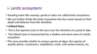 The Aquatic Ecosystem of our Earth Planet | PPTX