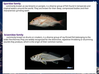 AQUATIC-ECOLGY-AND-RESOURCES-REPORT.pptx