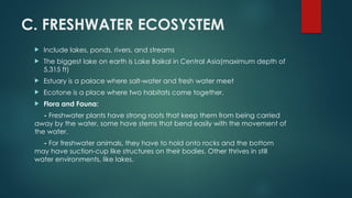 AQUATIC-ECOSYSTEM.pptx Lesson 1 and 2345 | PPT