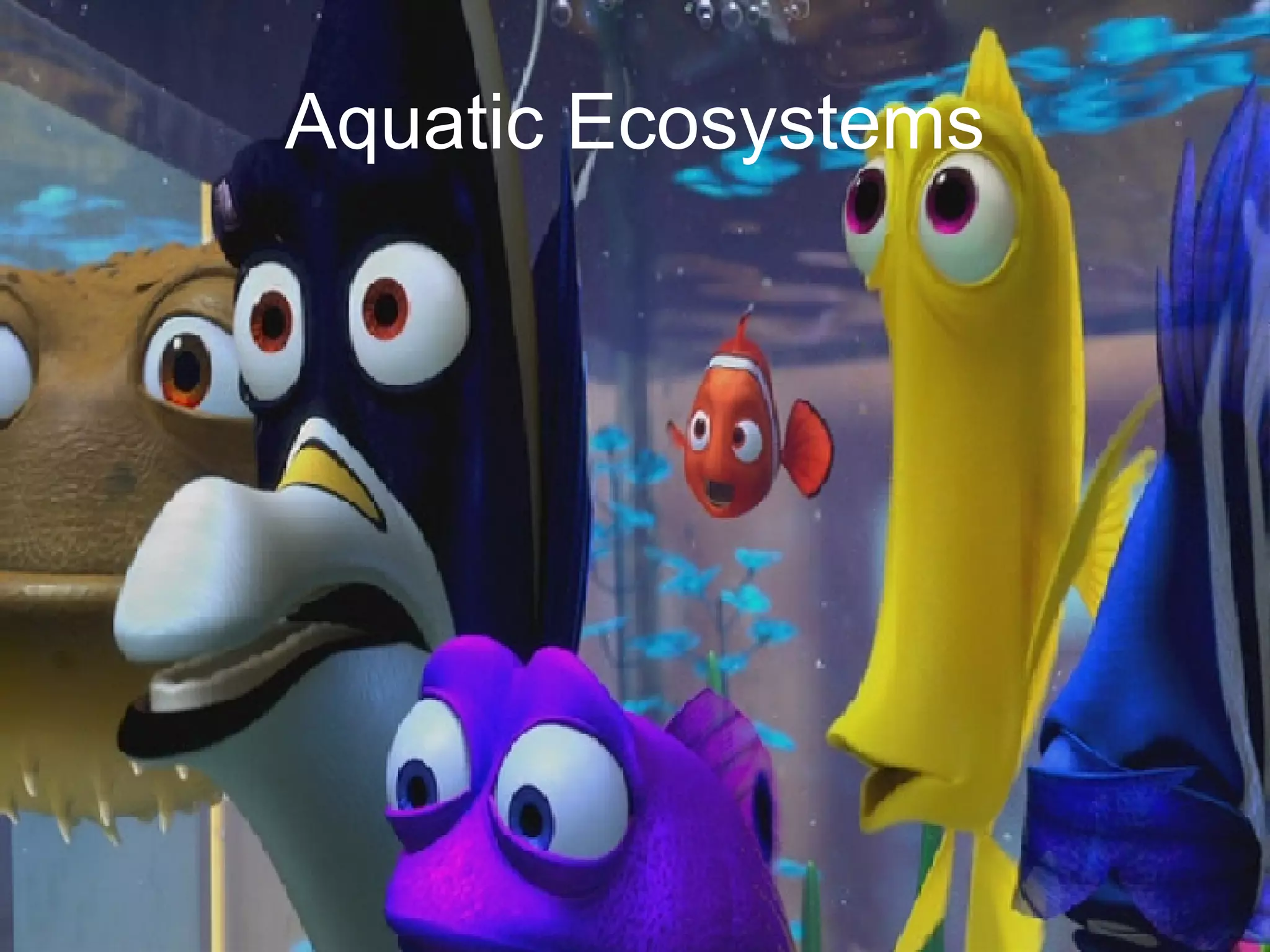 Freshwater and Marine Ecosystems Guide | PPT