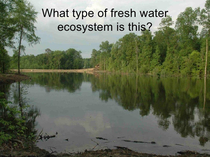 Aquatic Ecosystems